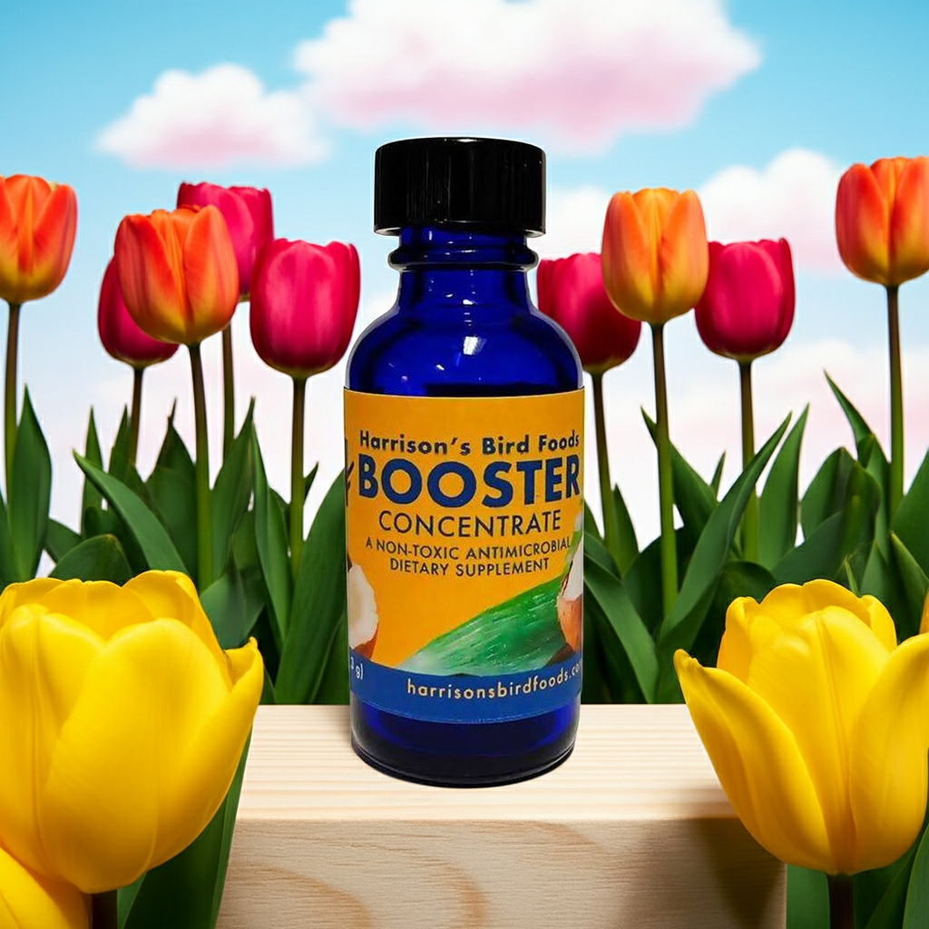 HARRISON'S BOOSTER CONCENTRATE - used when there is an acute illness ...